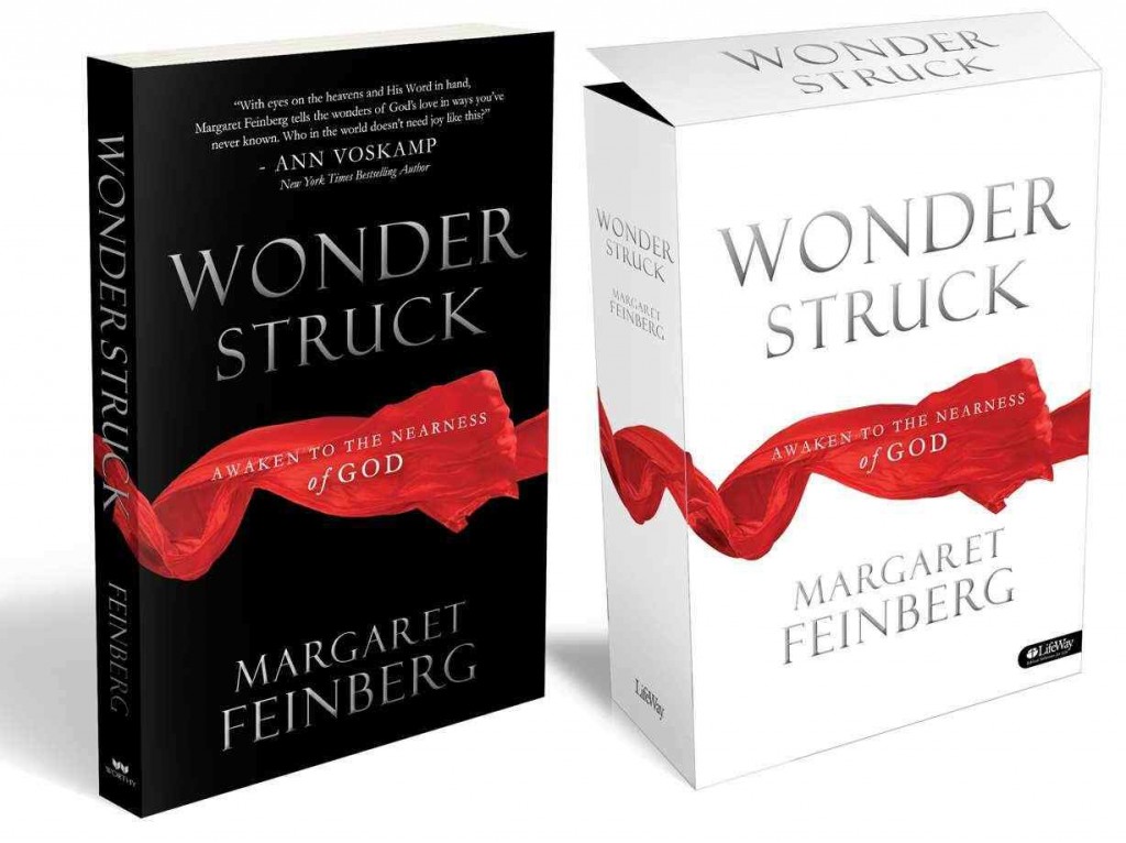 Start Marriage Right / Wonderstruck Cover Art Image - Start Marriage Right
